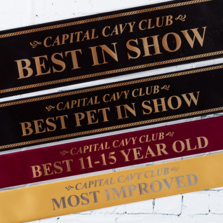 Sashes - Ribbons and Rosettes, Recognise and Reward Your Winners and ...